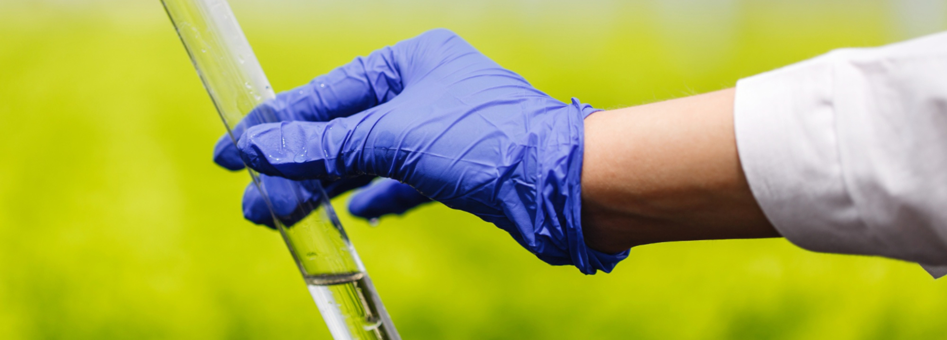 Groundwatch Global Limited – Enabling Lives