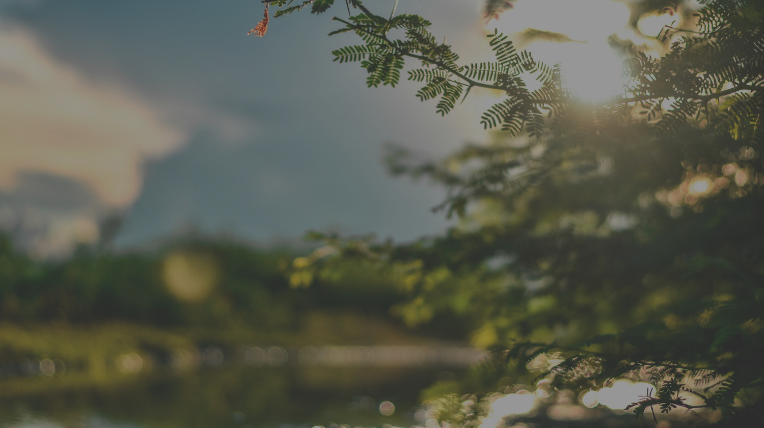 Groundwatch Global Limited – Enabling Lives